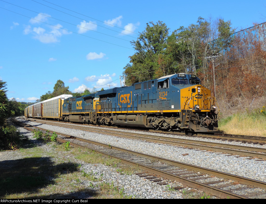 CSX 3134 and 7329